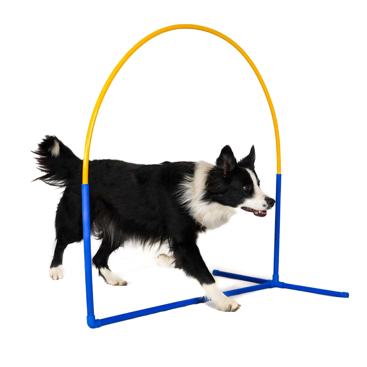 Hoopers Agility Hoop mit Mittelstrebe – NADAC-konform | Callieway®